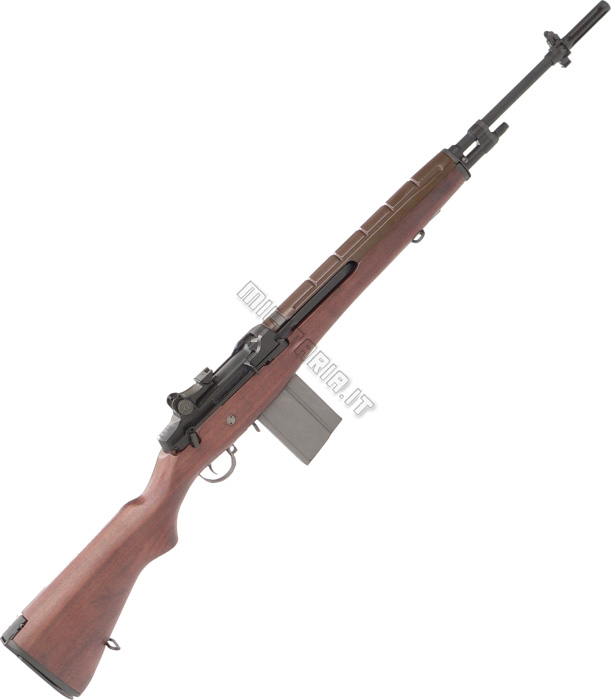 M14 G e g
