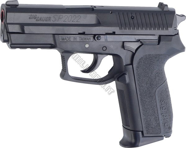 Sig Sp 2022